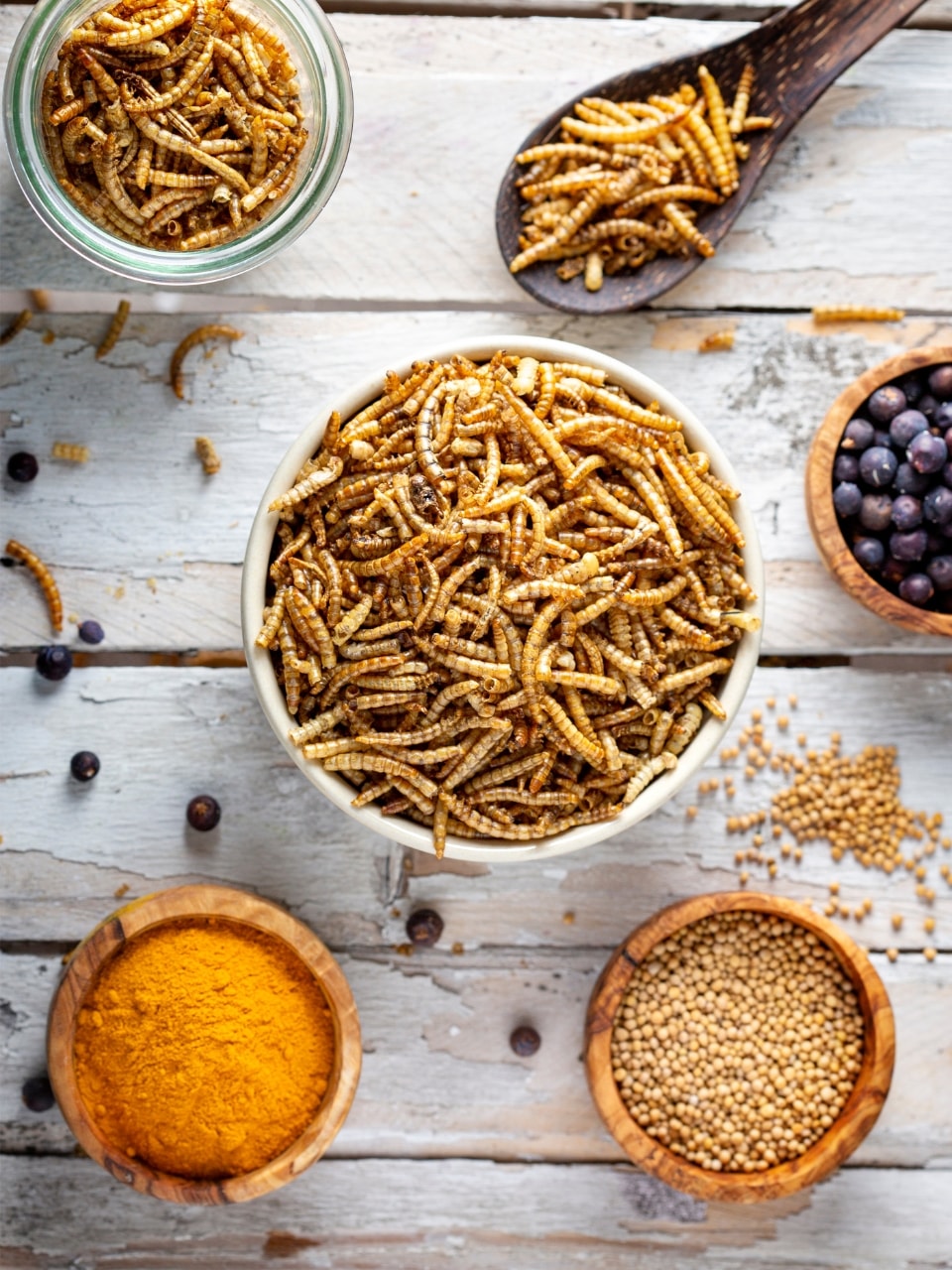 Experts highlight health and environmental benefits of eating insects