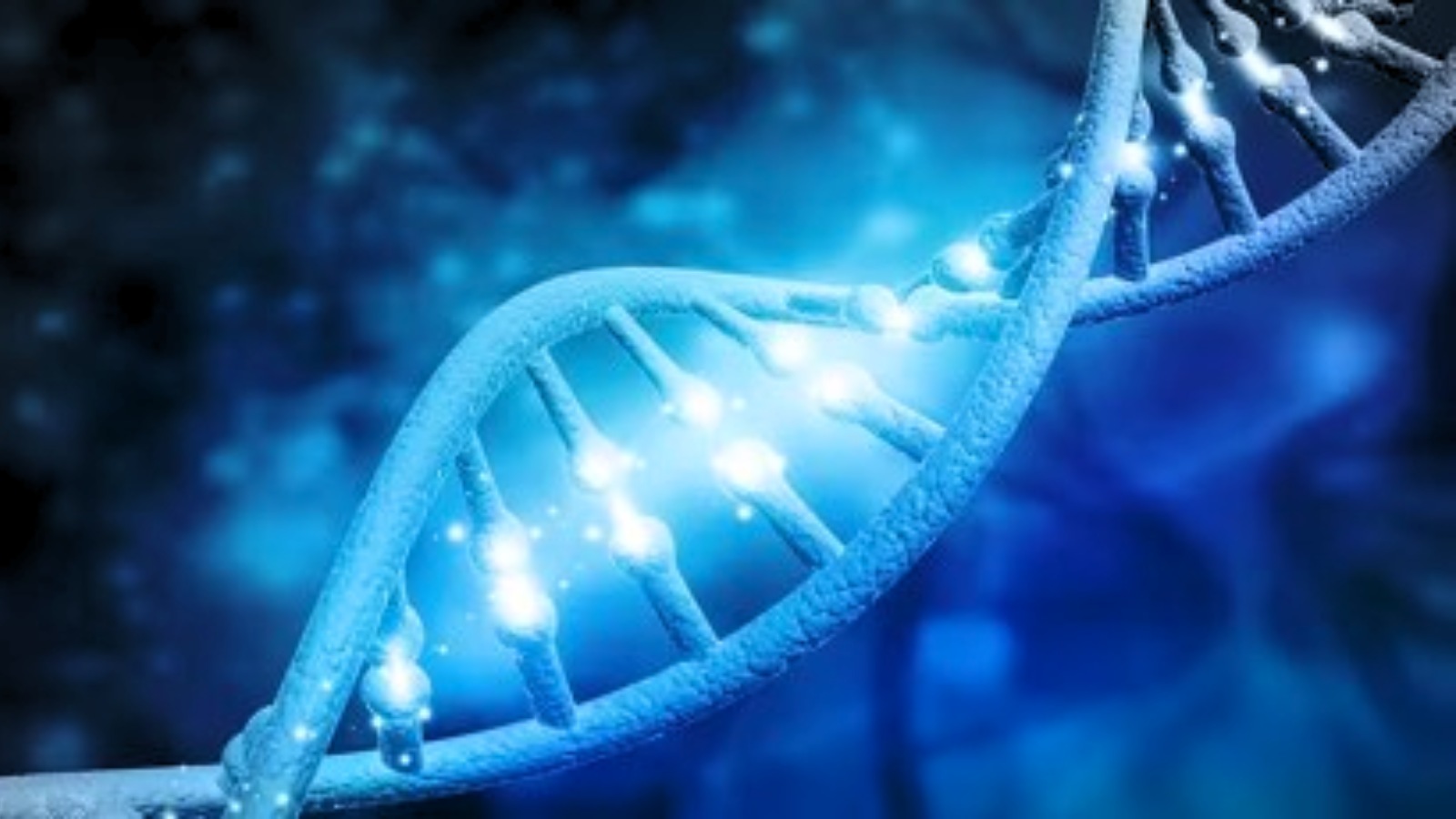 Scientists find the largest known genome inside a small plant ...