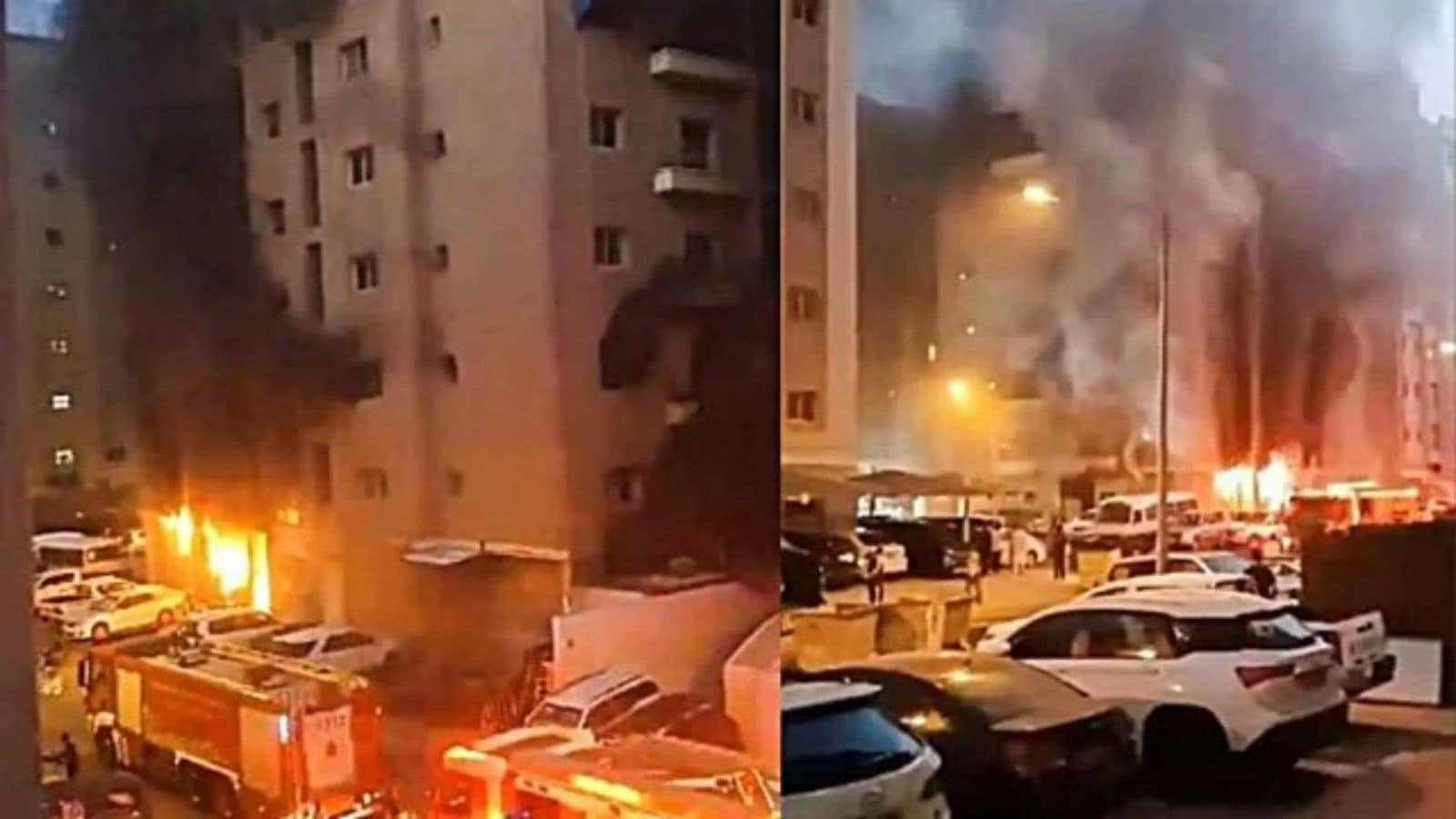 Necessary precautions must be taken to prevent recurrence of Kuwait ...