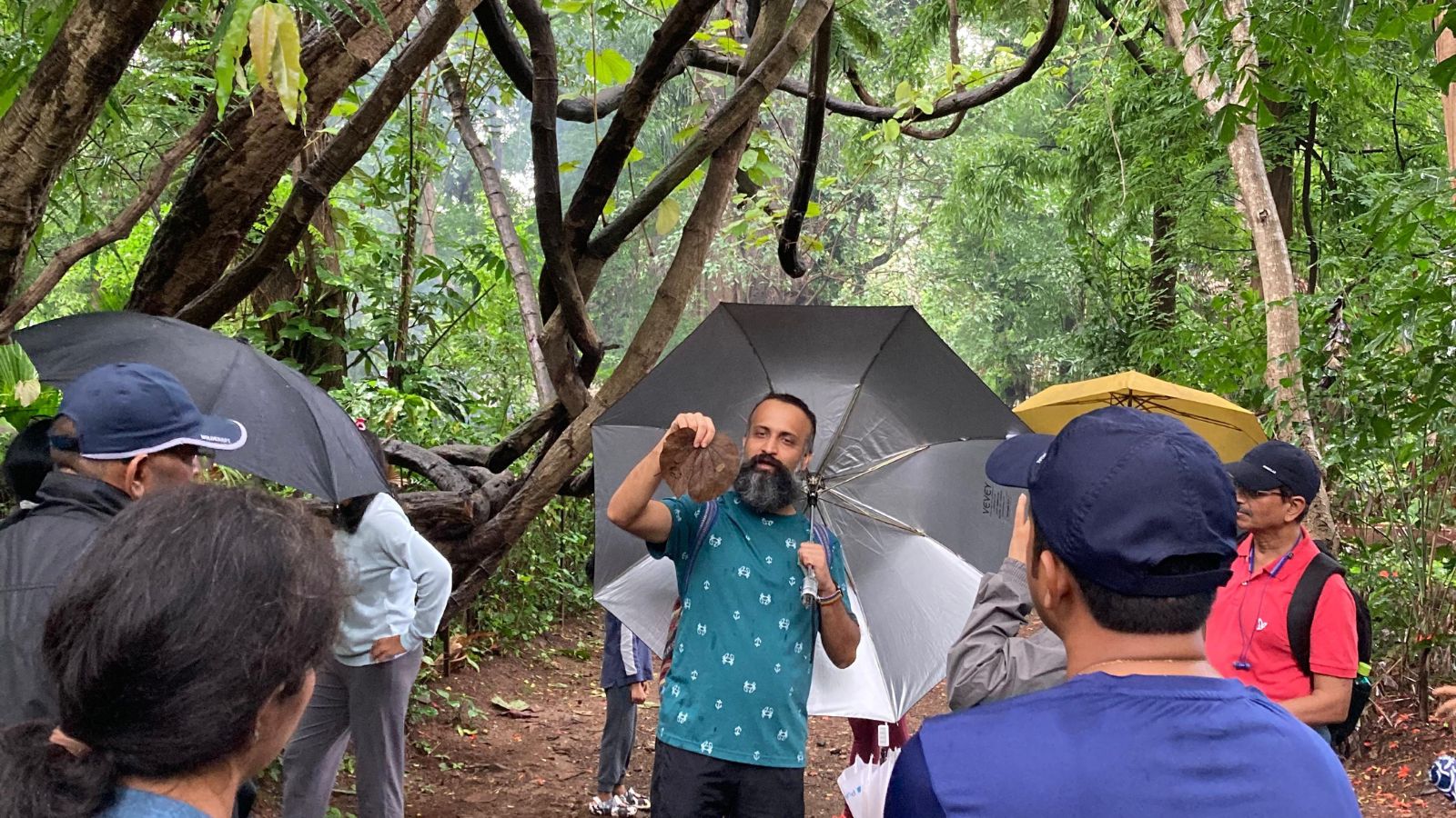 Understanding Pune University’s unique flora through tree walk | Pune ...