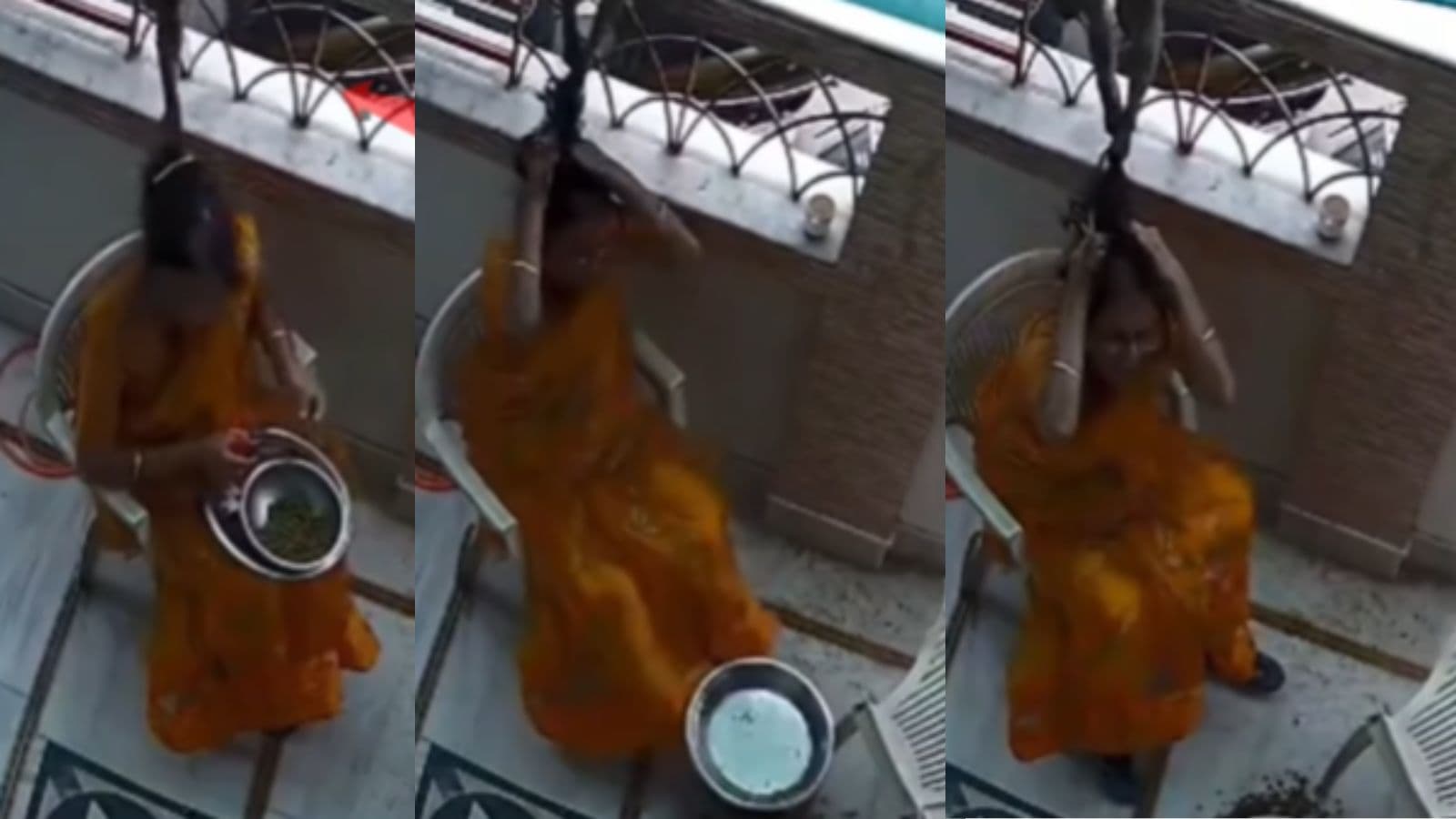 Watch: 2 monkeys in Ajmer grab woman by her hair, clip sparks shock ...