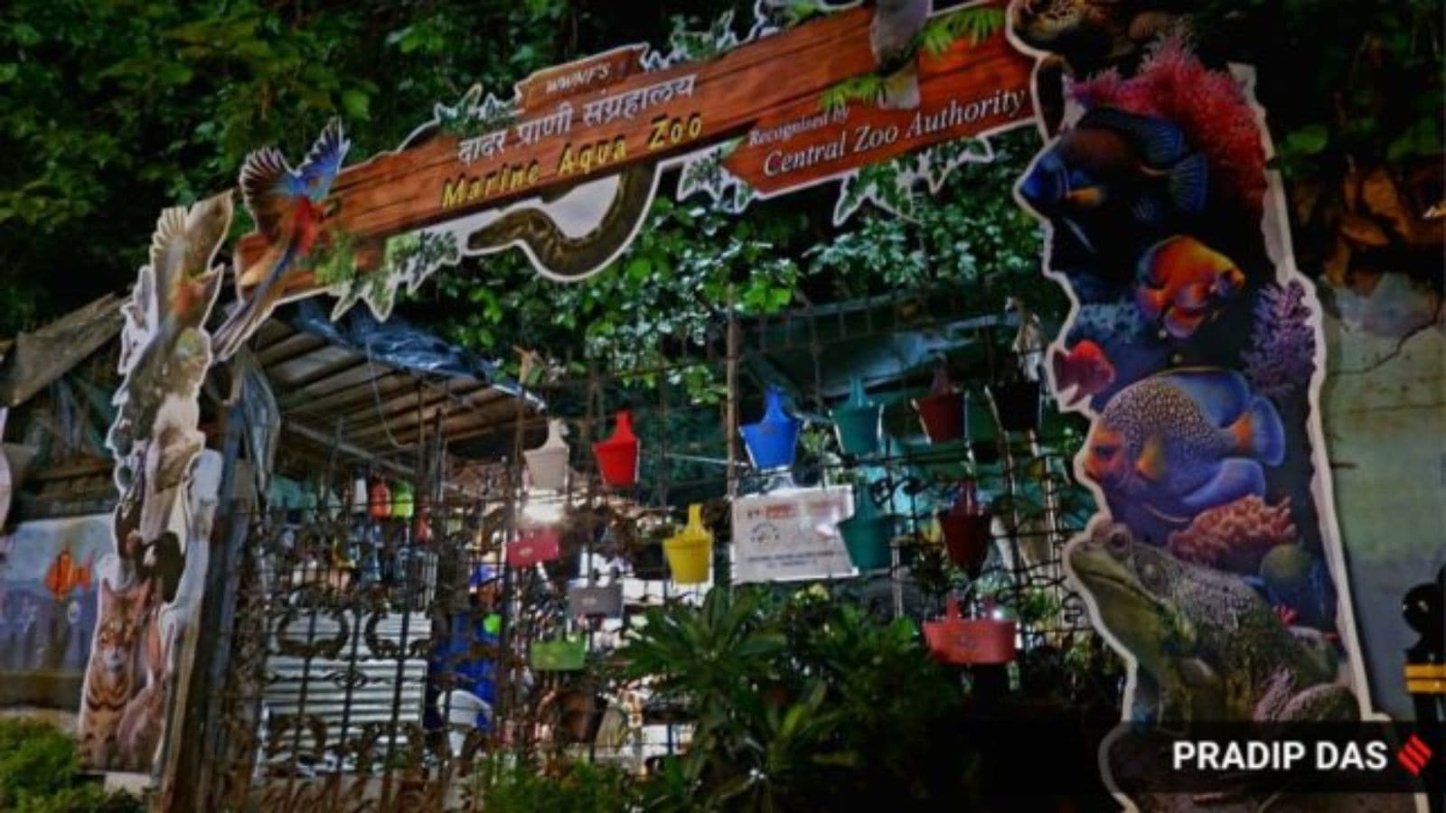 Maneka Gandhi writes to CZA, seeks closure of pvt zoo in Dadar | Mumbai ...