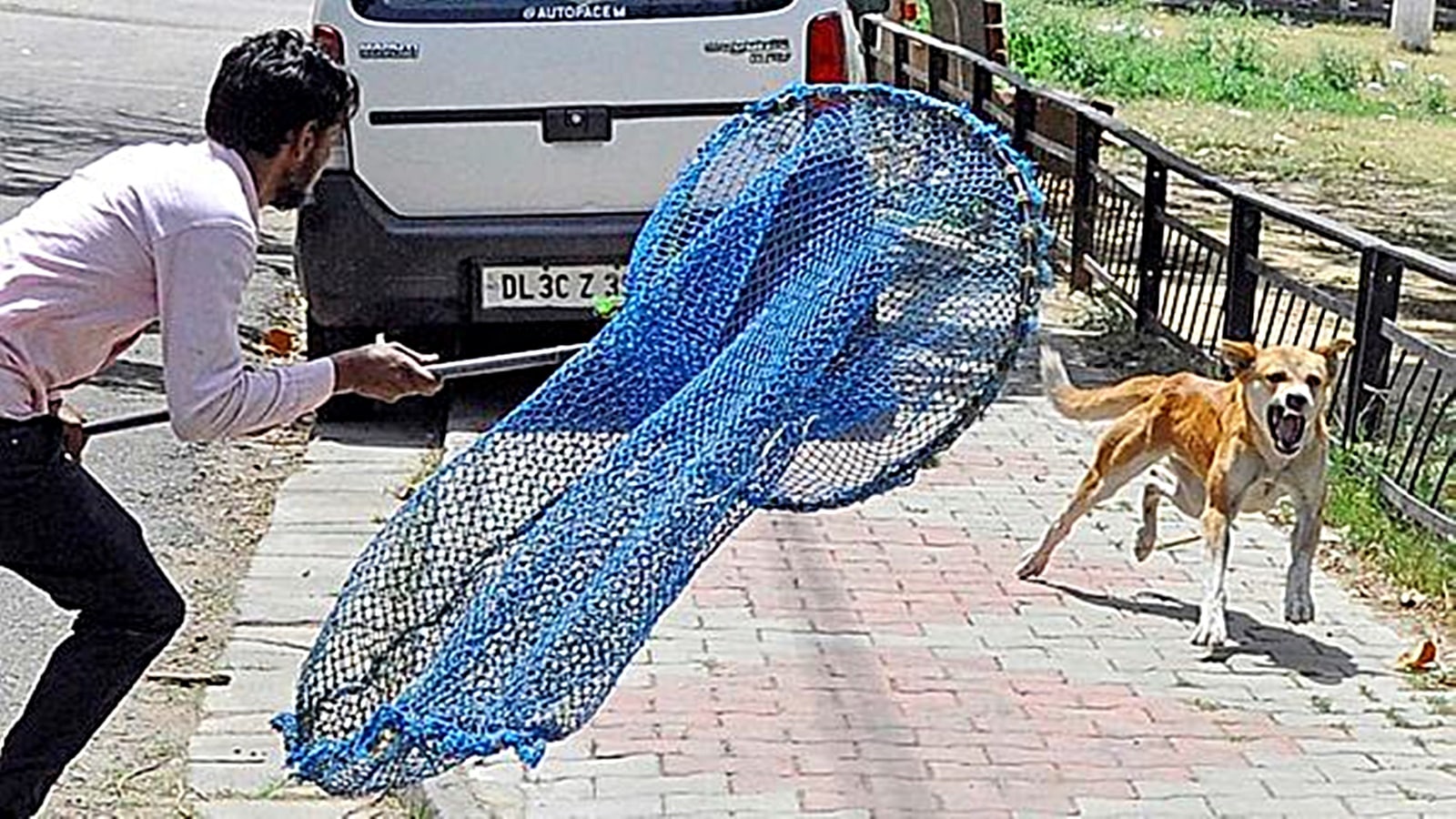 Where is dog bite compensation committee ordered by high court in Chandigarh? Still in UT files ...