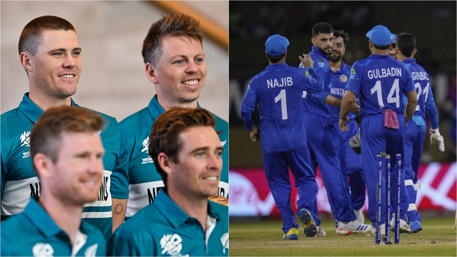 NZ vs AFG 2024, T20 World Cup 2024 Live Streaming: When and where to ...