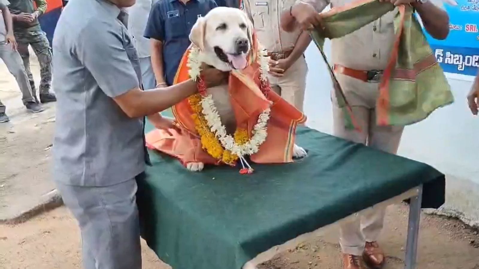 WATCH: Sniffer dog retires after 12 years of service, Telangana Police ...