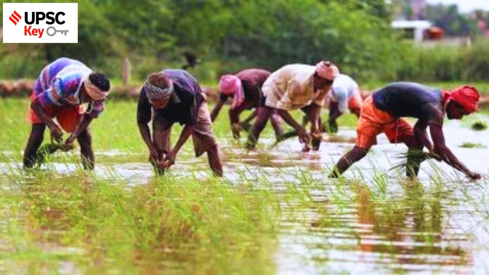 UPSC Key | 18th June 2024: Direct Seeding of Rice, Mifepristone, RoDTEP ...