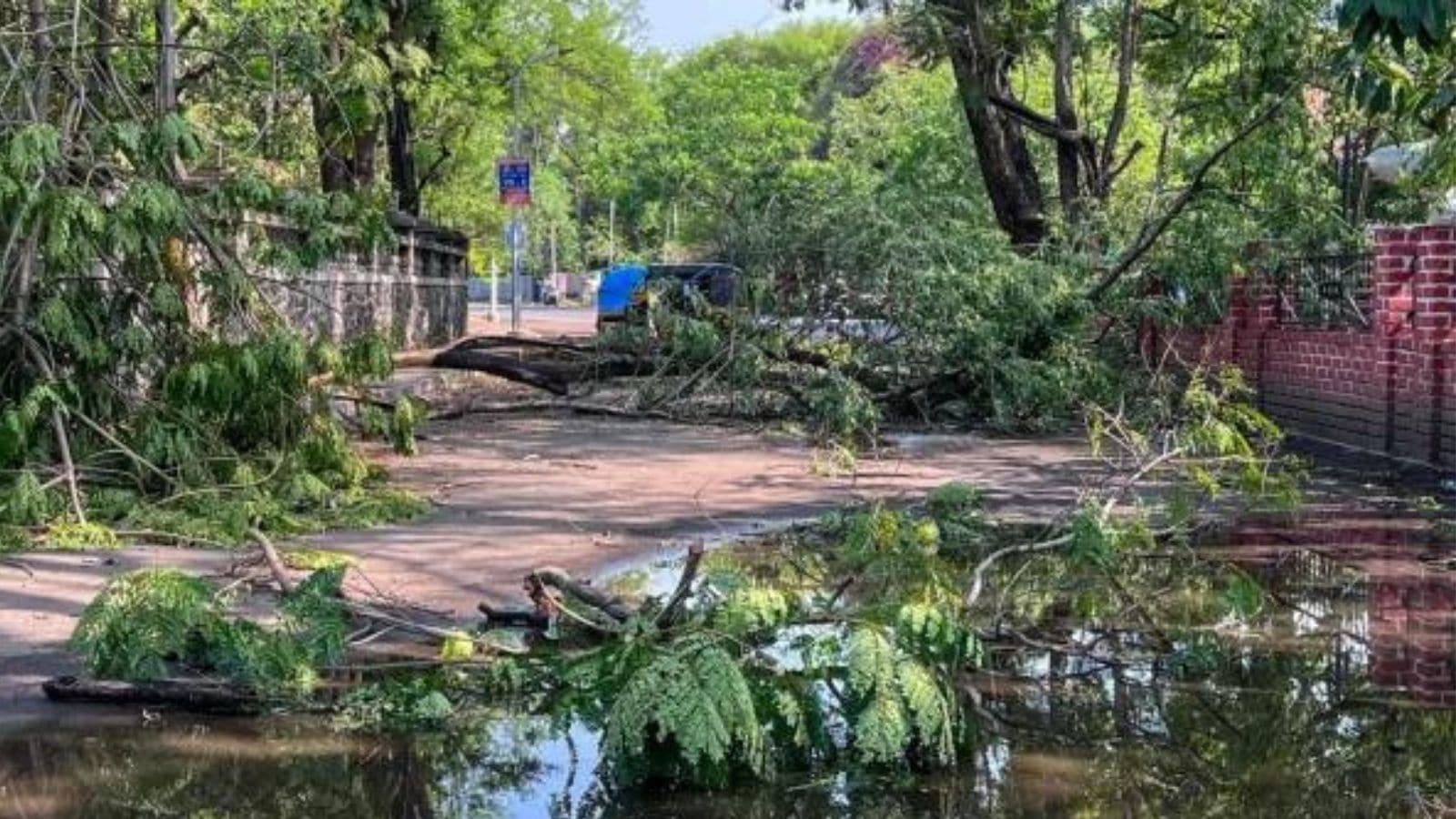 Man killed after tree falls branch on him as rain lashes Pune | Pune ...