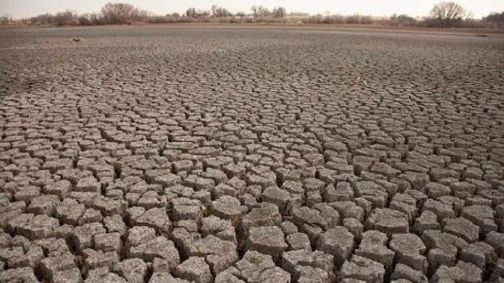 Russia’s southern Rostov region declares emergency due to drought ...