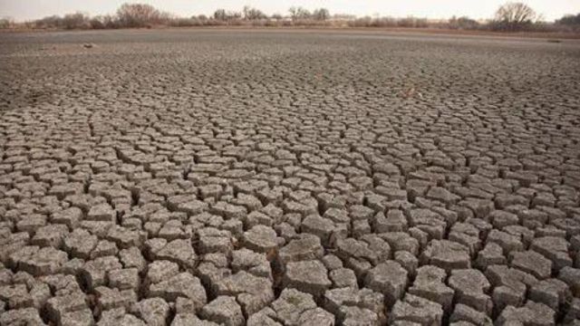 Russia’s southern Rostov region declares emergency due to drought ...