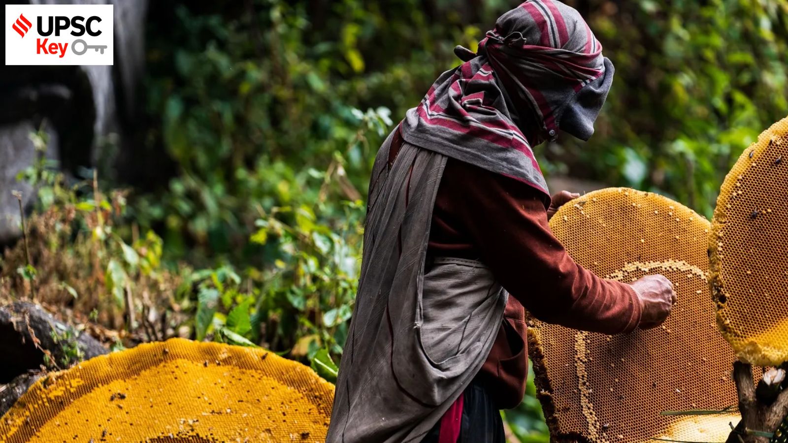 UPSC Key | 6th June, 2024-Climate change, Special Category Status, PMI ...