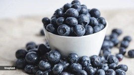 Latest News on Blueberries: Get Blueberries News Updates along with ...