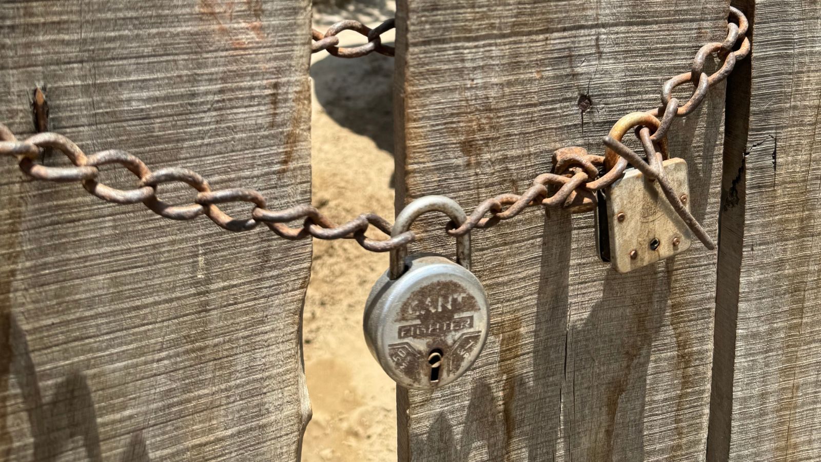 Her husband shot dead for taking on drug menace, Punjab woman becomes ...