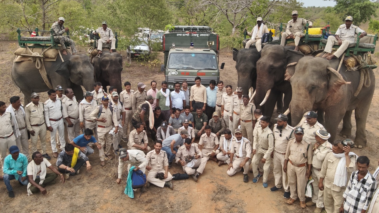 5 elephants, 140 forest officials and a tranquiliser dart — how a tiger ...