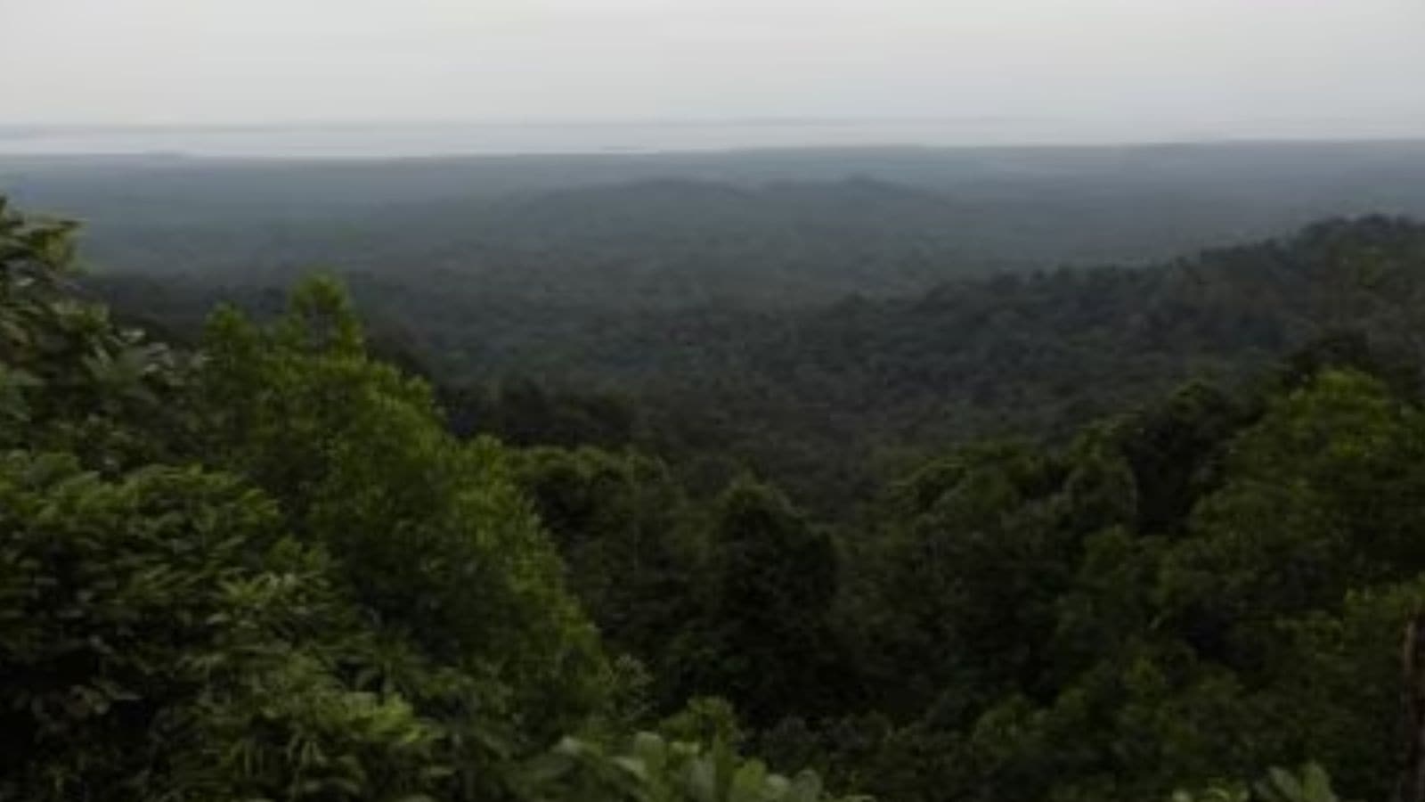 Mining in Karnataka’s Devadari forest will lead to environmental ...