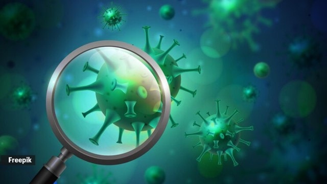 What is streptococcal toxic shock syndrome?