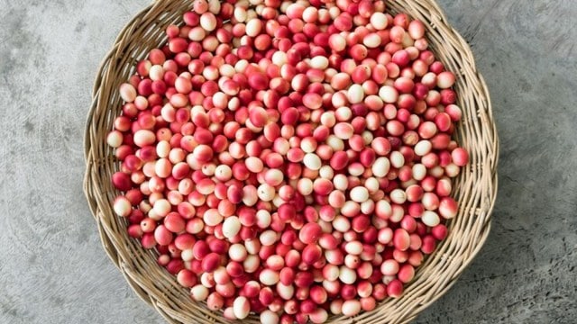 Is karonda, Indian version of cranberries, good for health?