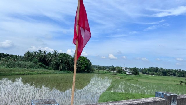 Local exit poll says BJP will have to wait for Kerala, won’t open ...