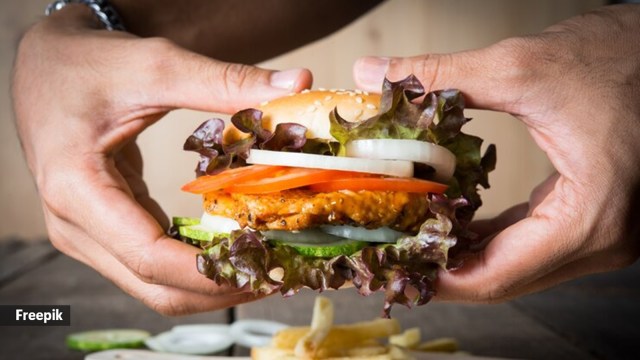 Would you ever try eating the 'mosquito burger'? Experts say it is healthy