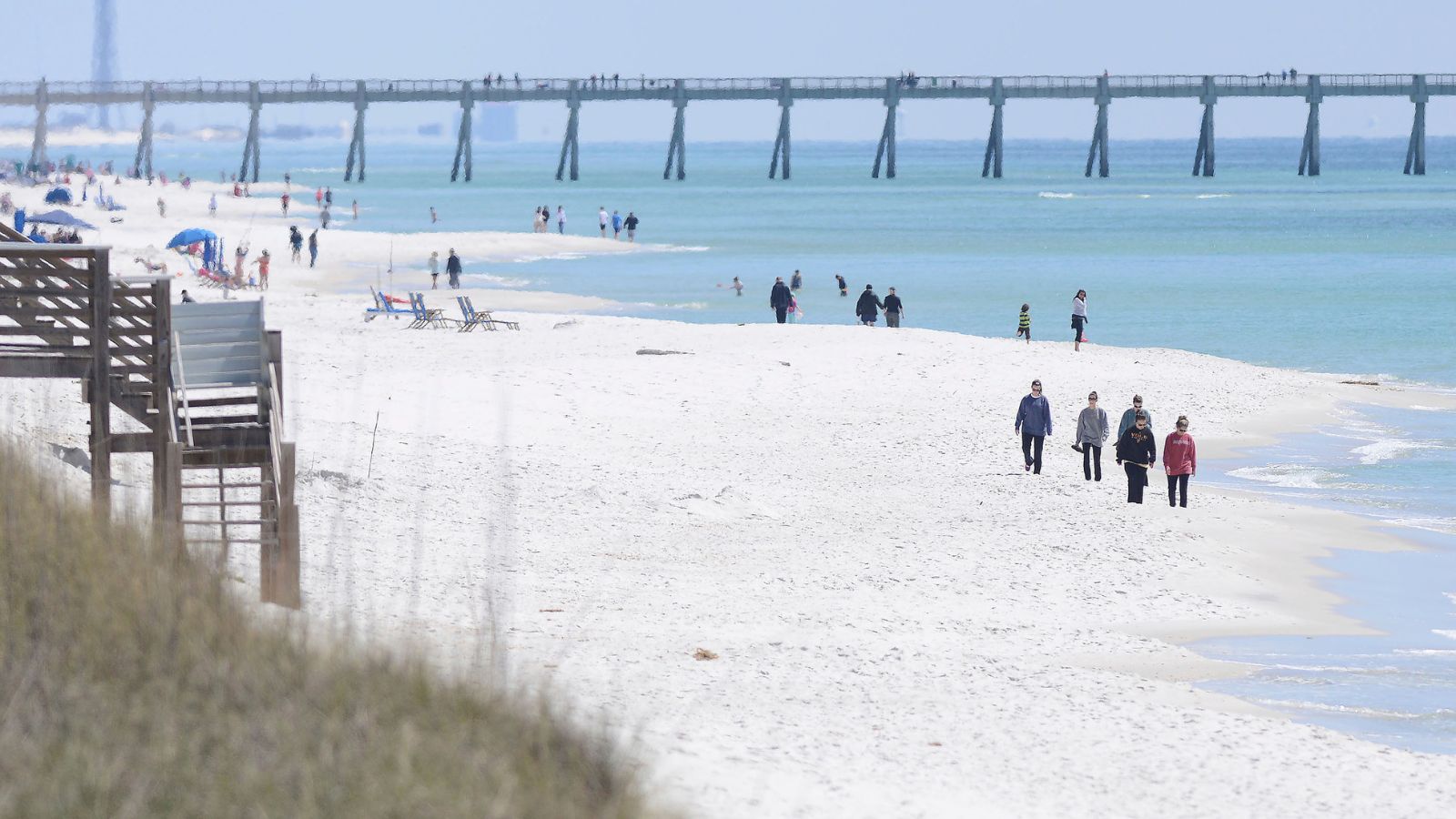 Florida authorities warn of shark dangers along Gulf Coast beaches ...