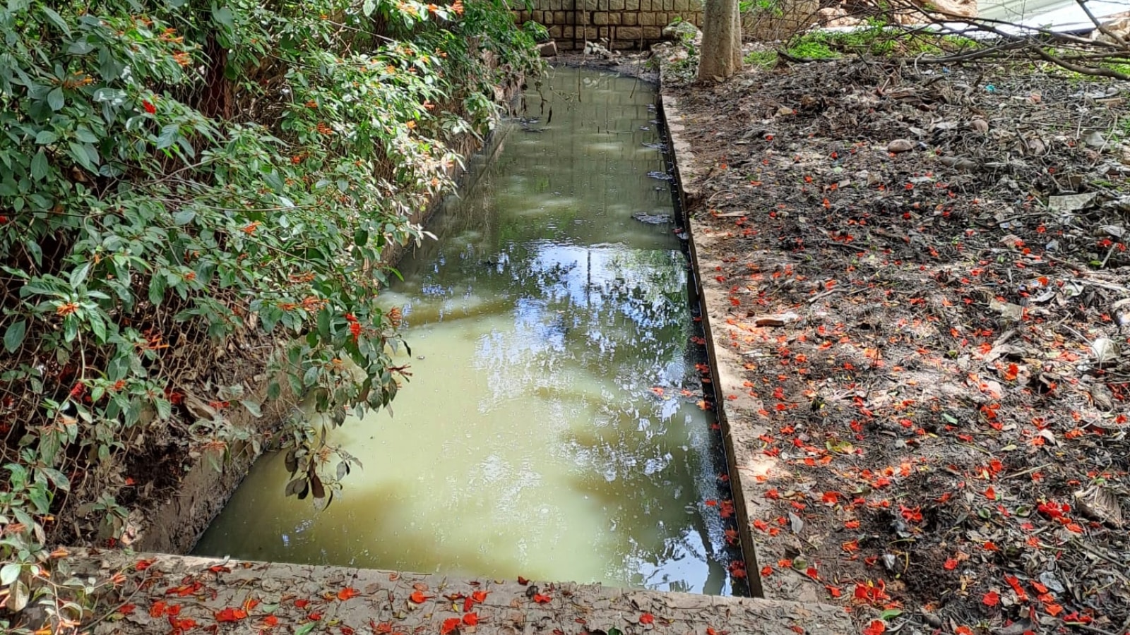 Bengaluru’s Telecom Layout flooded again; residents say JNCASR blocks ...