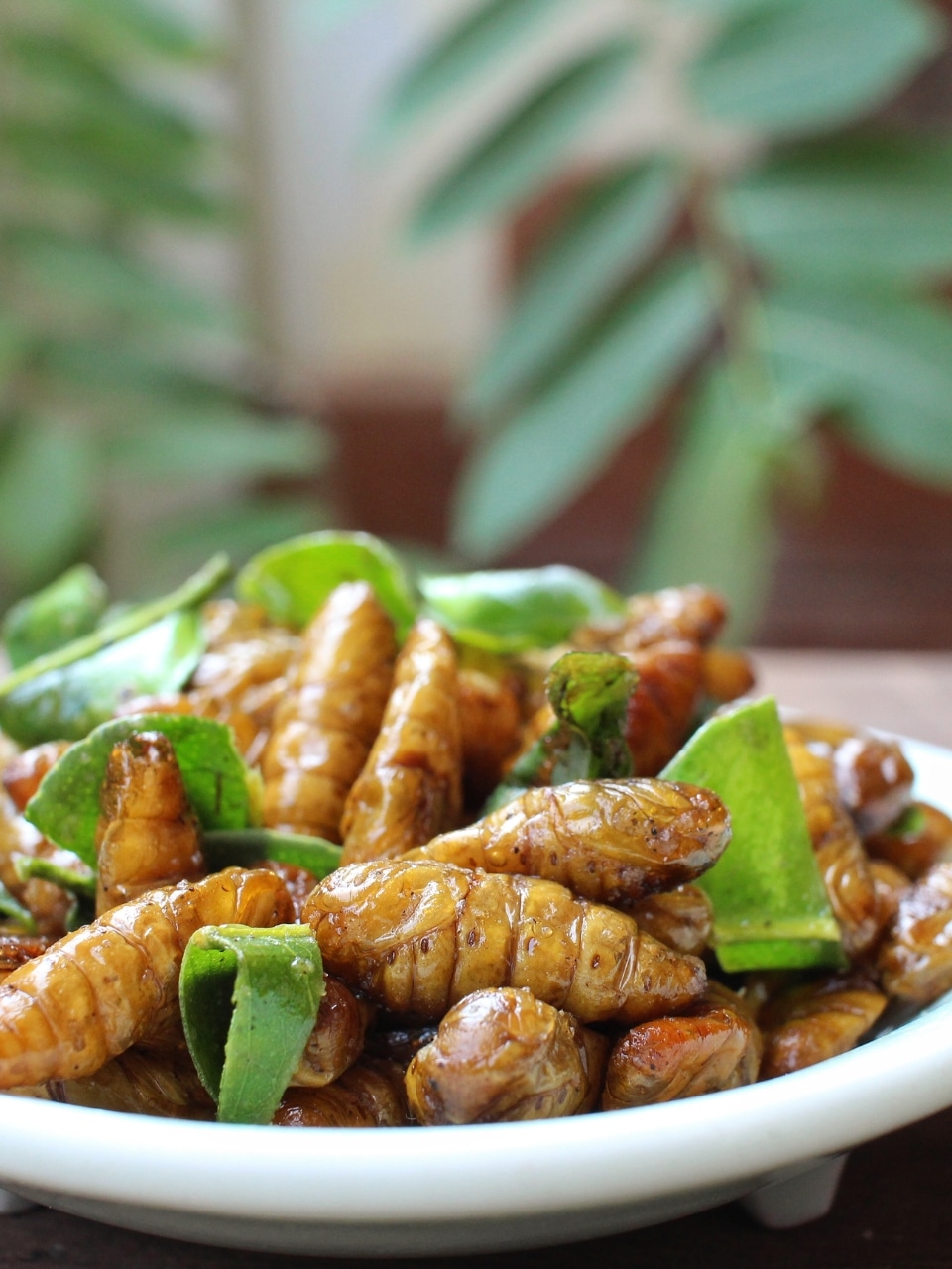 Insect cuisine approved in singapore: What you need to know