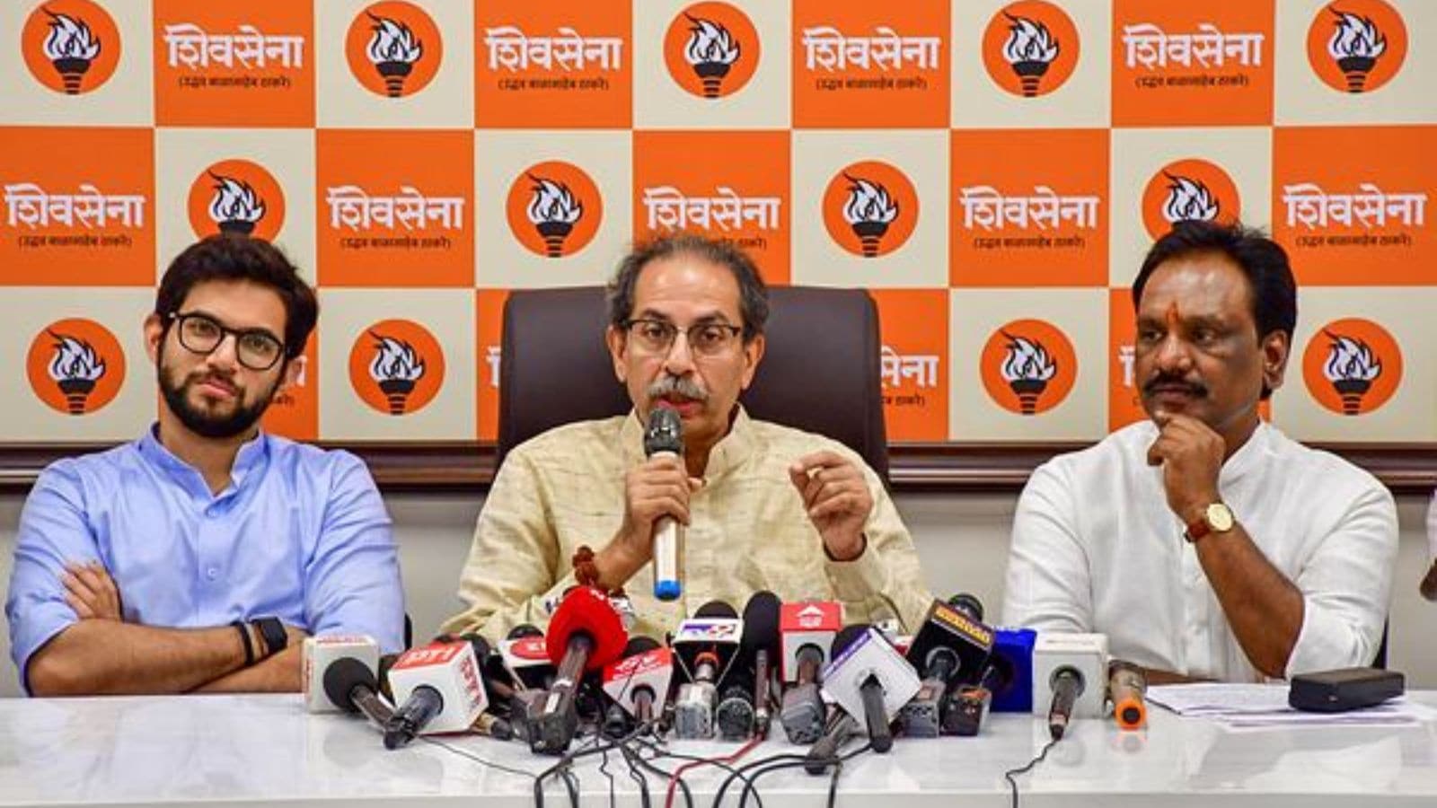 Maharashtra budget not financially viable, schemes are false promises ...