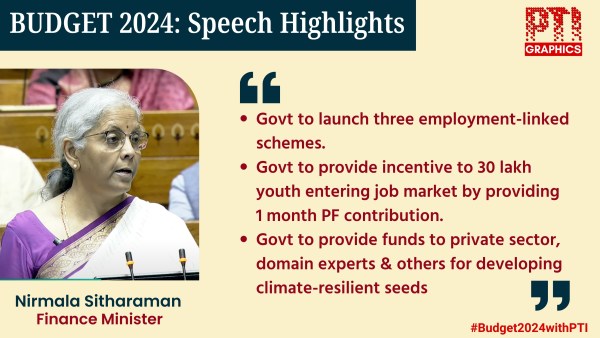Job announcements in Nirmala Sitharaman’s Union Budget 2024 | Business ...