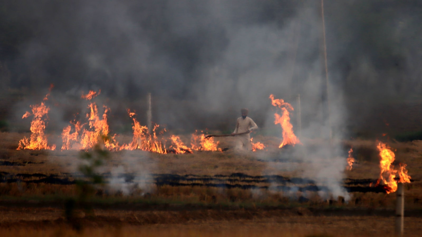 No scientific study to link Punjab farm fire smoke with Delhi’s ...
