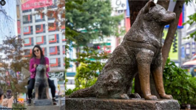‘Humans have lost humanity’: Female tourist poses atop Tokyo’s Hachiko statue; netizens outraged ...