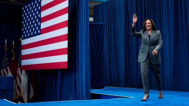 Kamala Harris emerges from sidelines as Democrats rethink the ticket ...