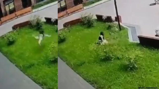 Woman survives fall from building’s 13th floor in Russia; suffers minor ...