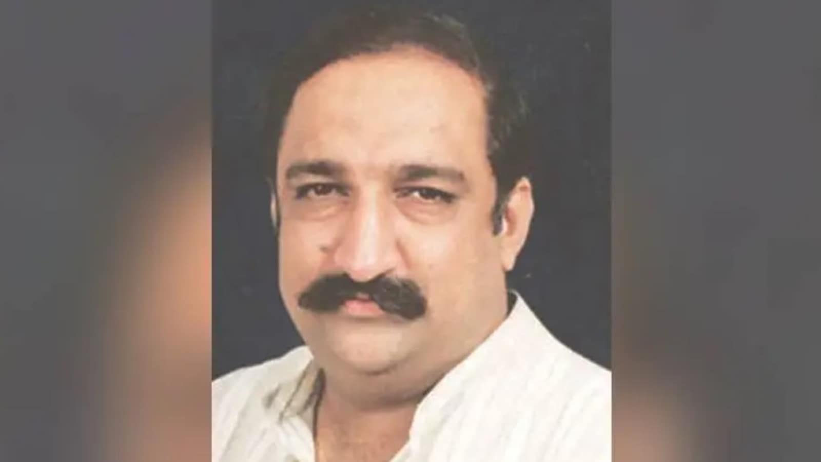 Haren Pandya murder case: Gujarat HC grants parole to convict pending ...