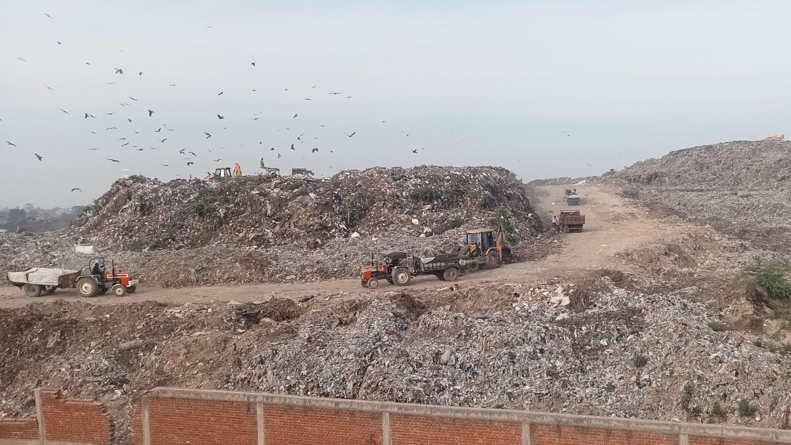 Another trash mountain emerges at Dadu Majra dump, HC bench seeks civic ...