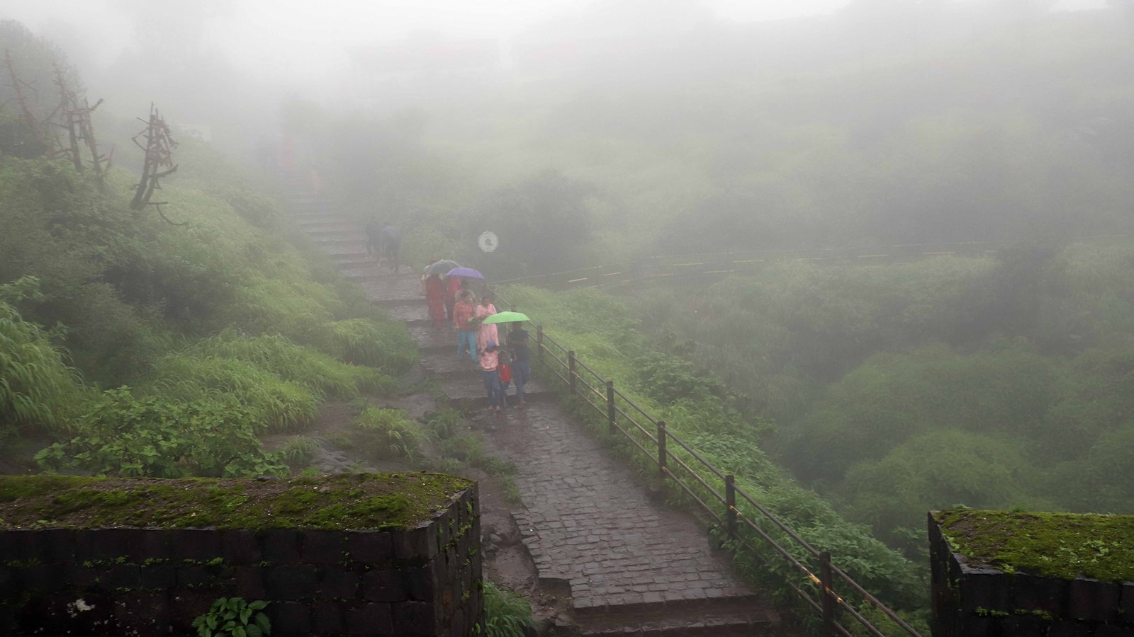 How climate change is playing out in Pune: Fewer rainy days, heavier ...
