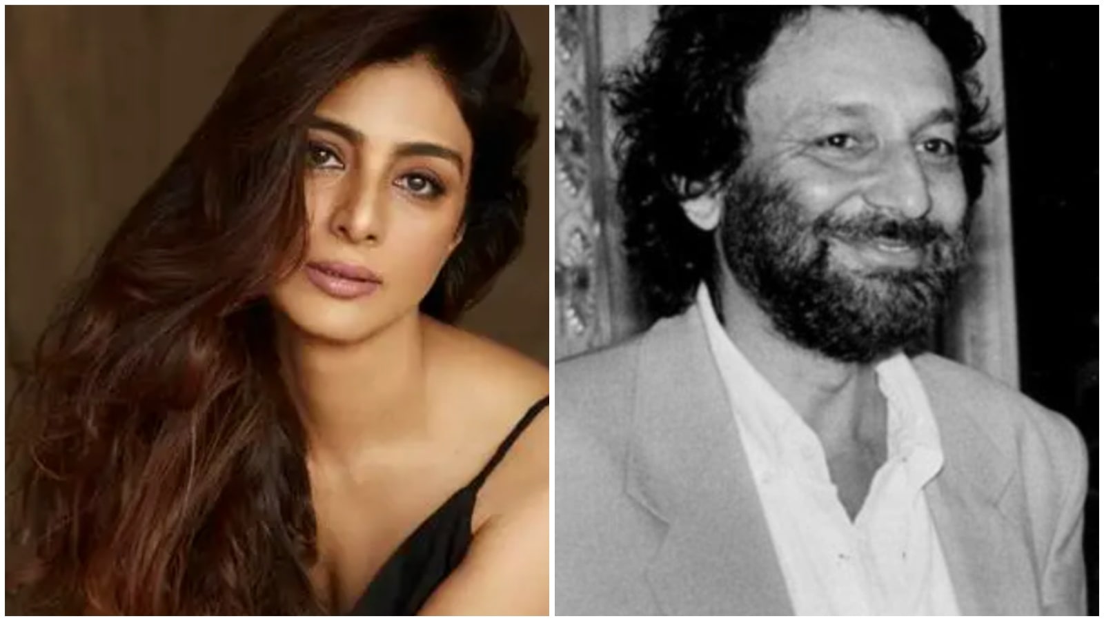 Tabu recalls Shekhar Kapur convincing her to star in Prem and then ...