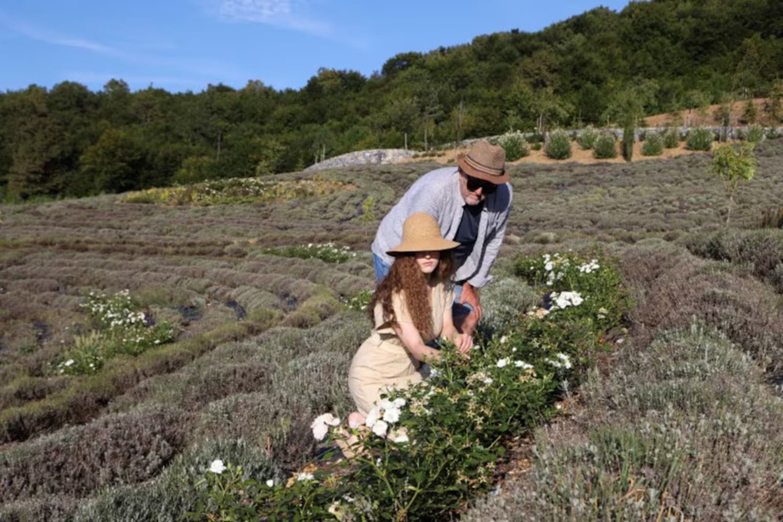 Van Gogh’s Starry Night recreated as park in Bosnian hills | Art-and ...