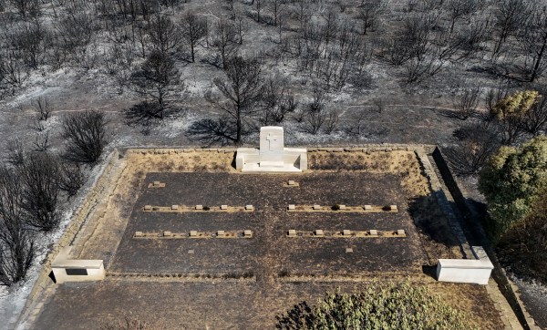 Firefighters battle to contain five wildfires across Turkey | World ...