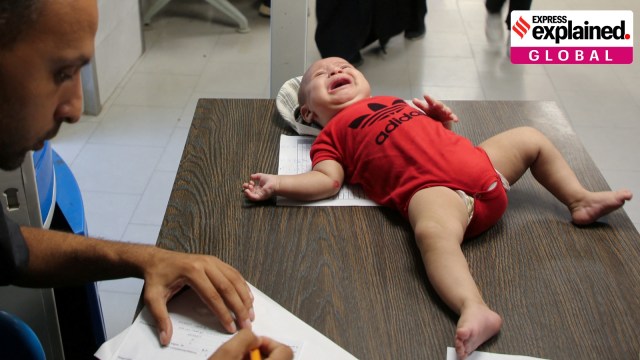 What is known about polio’s return to the Gaza Strip? | Explained News ...