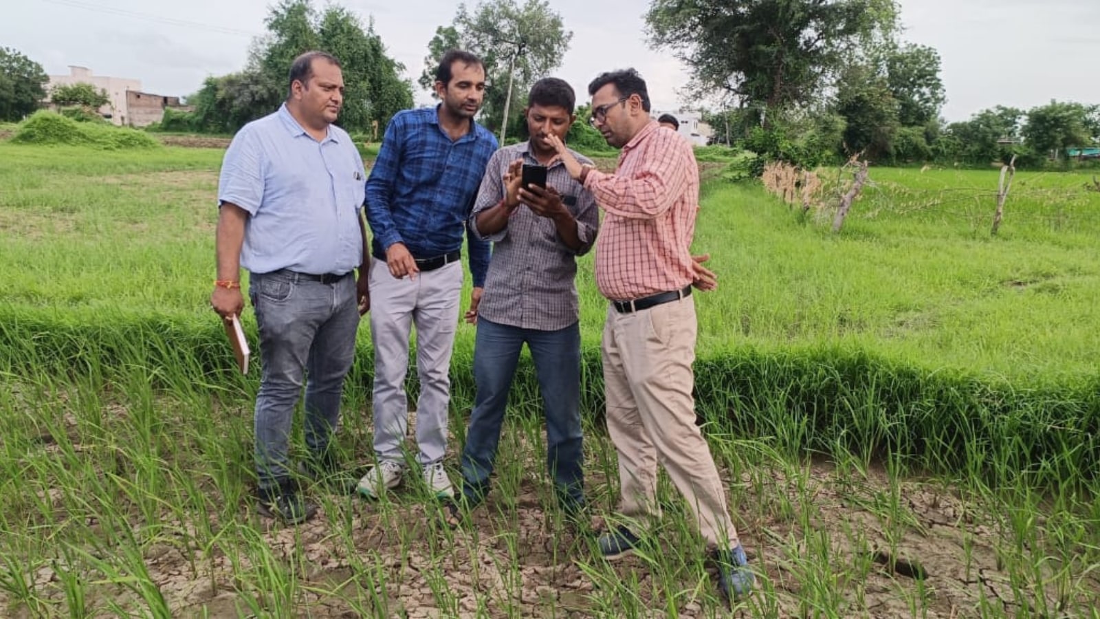 Gujarat gets on to Agri Stack, starts digital crop survey | Ahmedabad ...