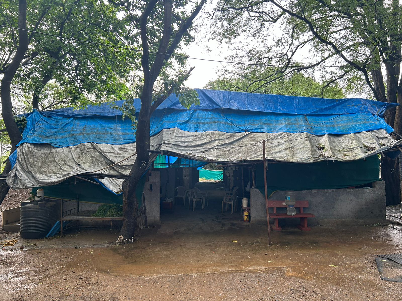 Mumbai police to get back its galloping force as govt approves funds to ...