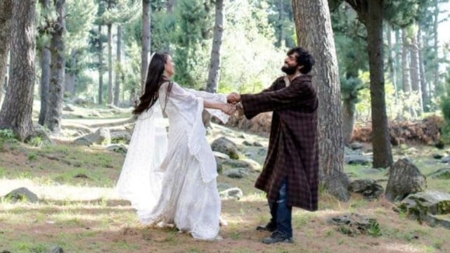 Laila Majnu Box Office Collection Triptii Dimri Avinash Tiwary Film