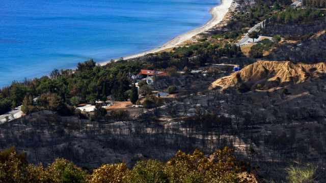Firefighters battle to contain five wildfires across Turkey | World ...