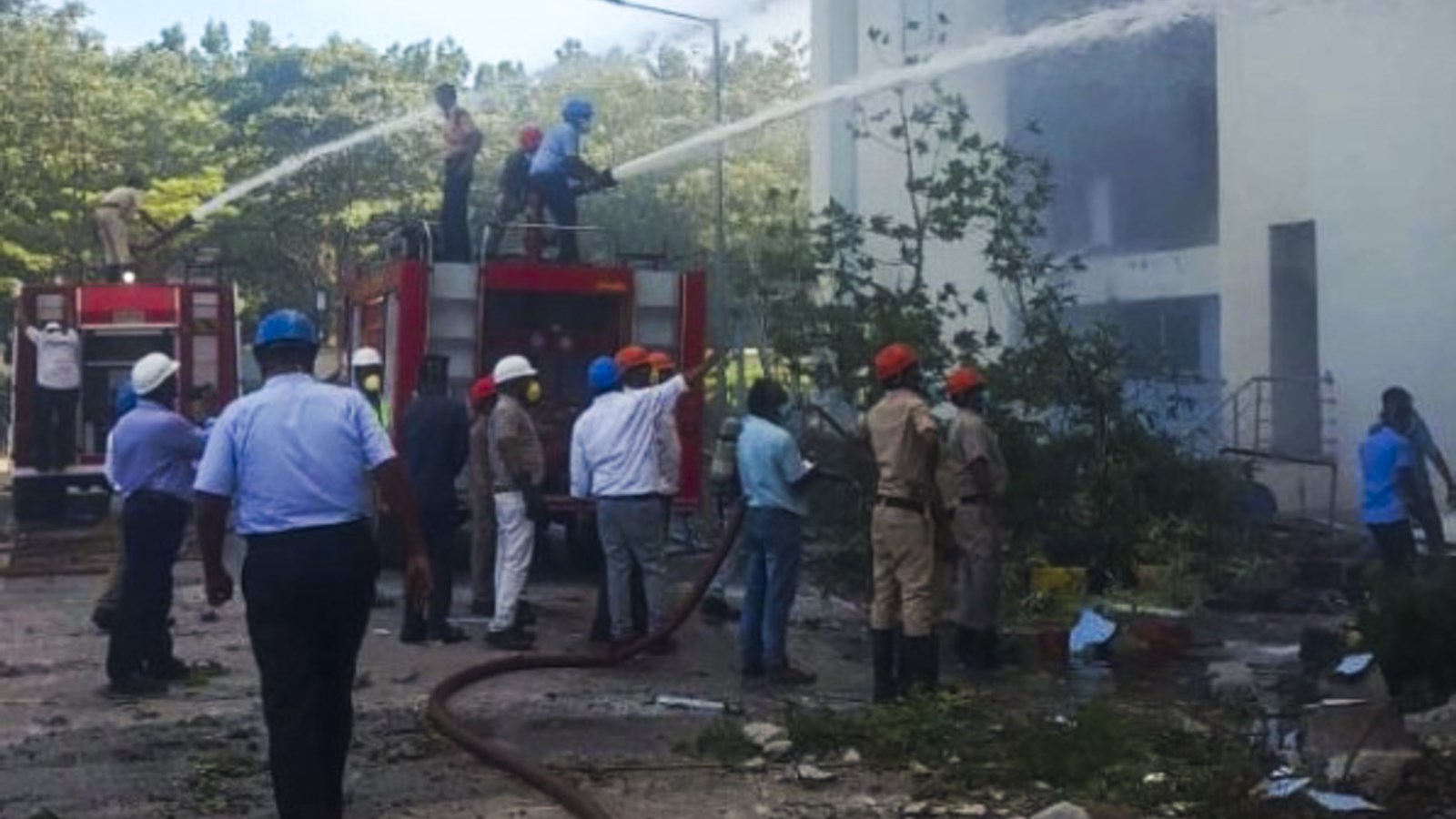 Associate director to biologist to housekeeping staff – the victims of ...