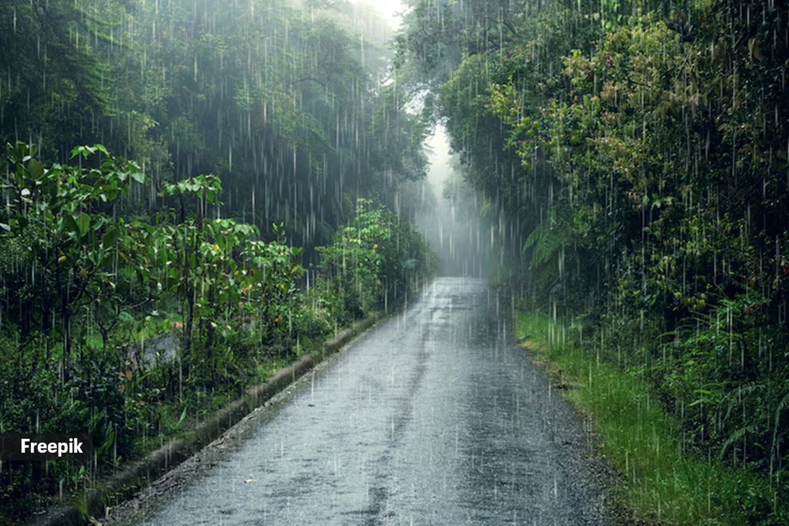 Revealed: Why sizzling hot pakoras are associated with the rainy ...