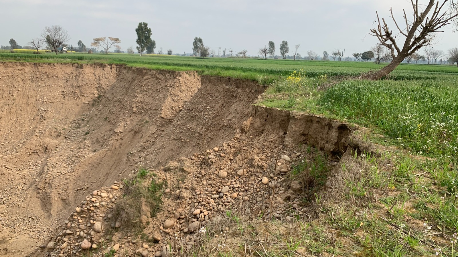 Farms in Punjab’s Mukerian, Hoshiarpur that mint quick money — and mine ...