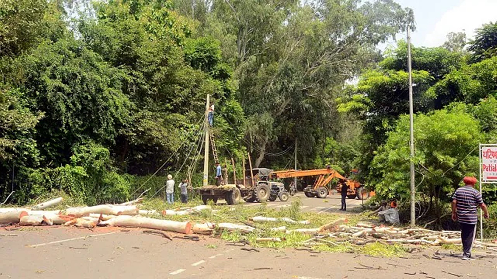 Karnataka forest department moves to recover land worth Rs 10,000 crore ...