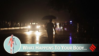 Getting Drenched In Rain Quotes What Happens To The Body When You Get