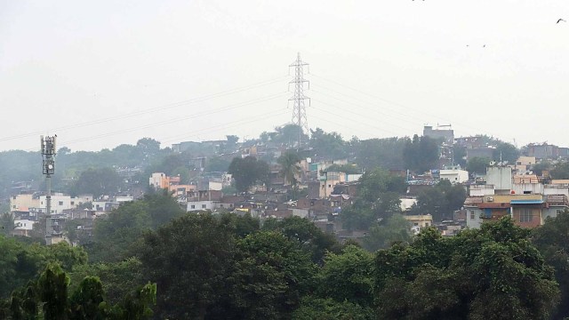 ‘Spare that small portion of land’: Biodiversity zone in Pune faces ...