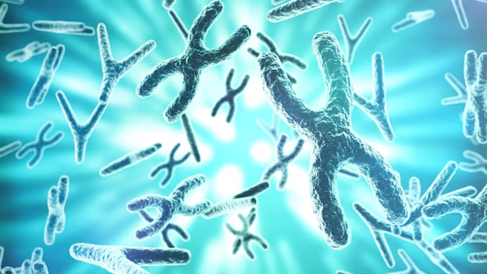 Y chromosomes are shrinking, so will men go extinct?