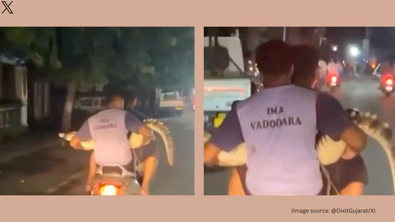 Gujarat flood: IMA volunteers in Vadodara carry stranded crocodile on ...